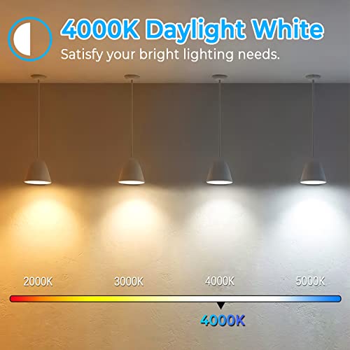 Brightever Vintage LED Edison Bulbs 60 Watt Equivalent, 6W ST58 Super ...