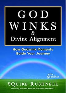 When God Winks: How the Power of Coincidence Guides Your Life (The ...