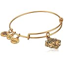 Amazon.com: Alex and Ani Womens Because I Love You, Godmother Charm Bangle Bracelet, Rafaelian ...