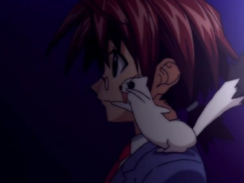 Watch Negima Season 2 | Prime Video