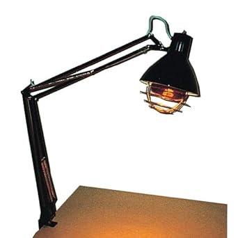 Lighting Specialties Heat-Lamp Infrared Heat Lamp, 250W: Amazon.com ...