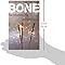 Amazon.com: Bone: 9781401309534: Ng, Fae Myenne: Books
