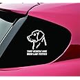 Amazon.com: This Vehicle Has Been Lab Tested Labrador Retriever Dog ...