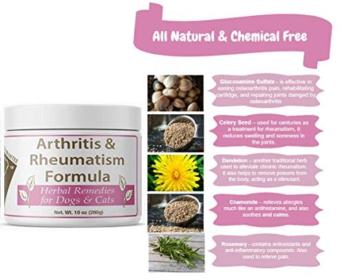 Mua Doc Ackerman - Arthritis & Rheumatism Formula - Fast Acting ...