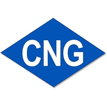 Amazon.com: American Vinyl Green Diamond Shaped CNG Logo Sticker ...