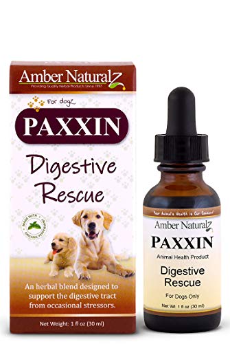 Amber Technology Paxxin Digestive & Immune Support for Dogs, 1 oz in ...