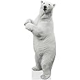 Amazon.com: Polar Bear - Life Size Cardboard Cutout Standup People with ...