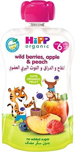Hipp Organic Wild Berries, Apple & Peach, 100g price in UAE | Amazon UAE | supermarket kanbkam