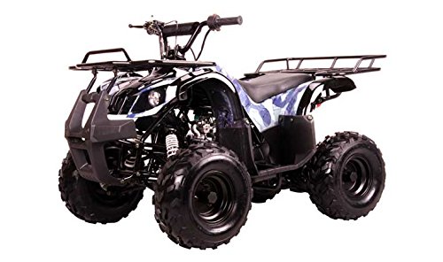 Gas-Powered ATV for Kids | 110cc, 125cc, 150cc Youth Four-Wheelers