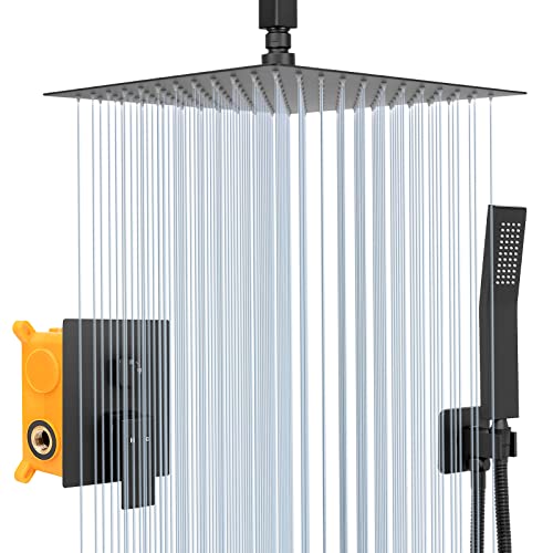 NearMoon Ceiling Mount Shower System, Luxury Rain Shower Mixer Combo ...