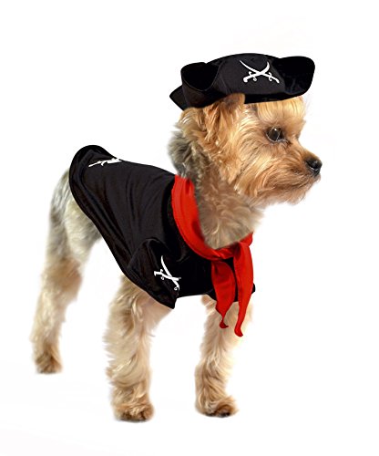 Pirate Dog Halloween Costumes - Best Costumes for Halloween