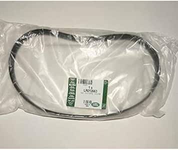 Amazon.com: Genuine LAND ROVER BELT SECONDARY RANGE ROVER SPORT 10-13 ...