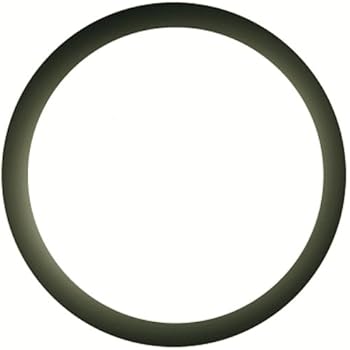 Amazon.com: Fel-Pro 35861 O-Ring: Automotive