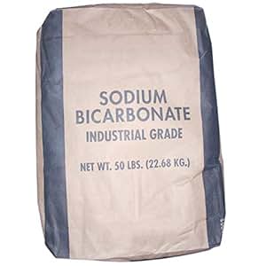 Amazon.com : In The Swim Alkalinity Increaser Sodium Bicarbonate for ...