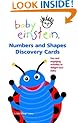 Set of 7 Disney Baby Einstein Discovery Cards: Nature / Animal ...