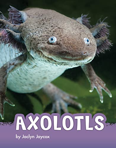 Axolotls (Animals): Jaycox, Jaclyn: 9781666342789: Amazon.com: Books