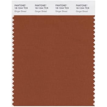 PANTONE Smart 18-1244X Color Swatch Card, Ginger Bread - Wall Decor ...