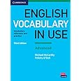 English Vocabulary in Use Pre-intermediate and Intermediate Book with ...