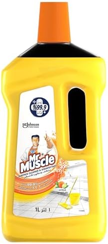 Mr Muscle Multi-Purpose Floor Cleaner & Detergent with Citrus Fragrance ...
