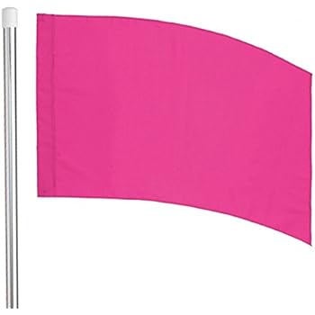 Amazon.com : Color Guard Flag Pole Weight Anchors by DSI : Garden & Outdoor
