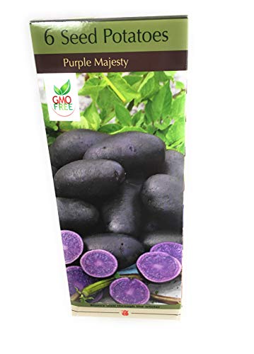 Purple Majesty Seed Potato 6 Tubers - Heirloom - Great Taste ...