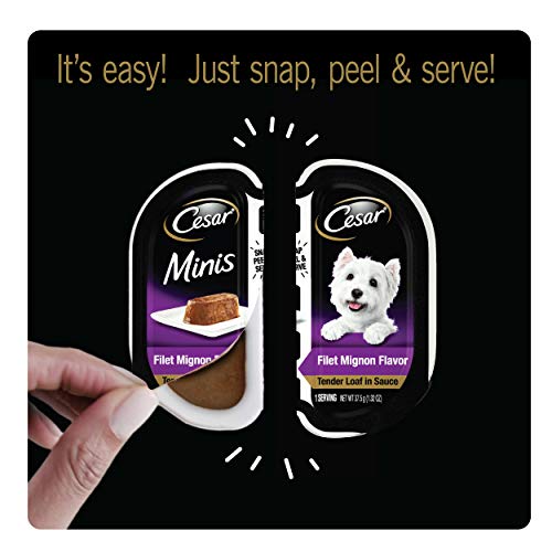 CESAR Minis Wet Dog Food Tender Loaf in Sauce, Filet Mignon Flavor, (24 ...