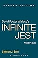 David Foster Wallace's Infinite Jest: A Reader's Guide, 2nd Edition ...