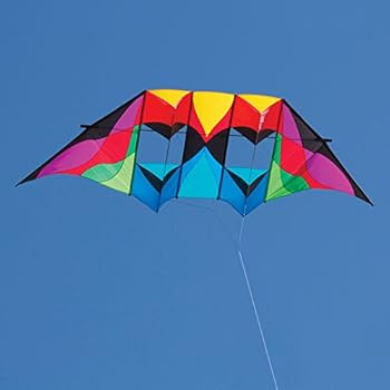 Amazon.com: Swept Wing Double Box Delta Kite: Toys & Games