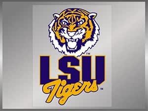 Amazon.com: LSU Tigers CLASSIC LSU with TIGER HEAD Static Cling 11 ...