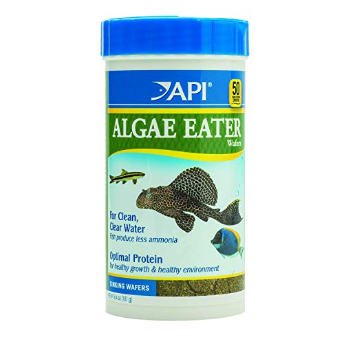 API ALGAE EATER WAFERS Algae Wafer Fish Food 6.4-Ounce Container in Saudi Arabia | Whizz API ...