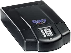 Gary by FireKing EX0915 Executive Safe, 9 x 15 x 3 1/2 Inches: Science ...