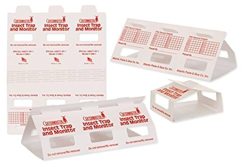 Catchmaster 15 Brown Recluse Spider Traps (Non-Toxic) in Kuwait | Whizz ...