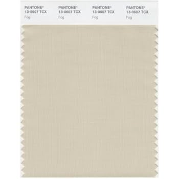 PANTONE Smart 13-0607X Color Swatch Card, Fog - House Paint - Amazon.com