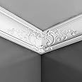 Amazon.com: Orac Decor C338B Face 10in x 78in Long C338 Crown Moulding ...
