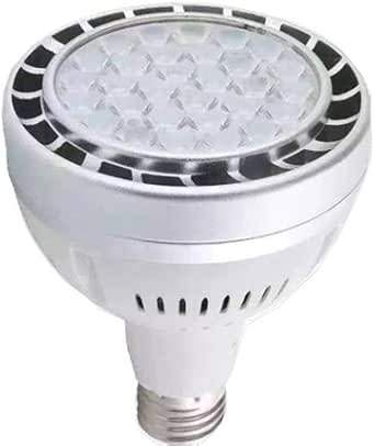 LC LED 250W-350W PAR30 / PAR38 High Output Medium Bay LED Bulb, 40W ...
