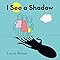 Amazon.com: I See a Shadow: 9781250316950: Breen, Laura: Books