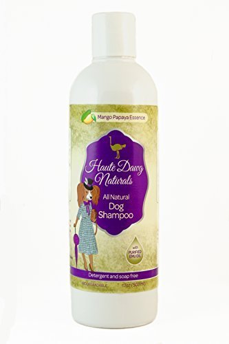 Emu Oil For Dogs – Shampoos, Skin Care, and Healing Arthritis | Krill ...