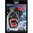 Amazon.com: Cujo [DVD] : Dee Wallace, Daniel Hugh Kelly, Danny Pintauro ...