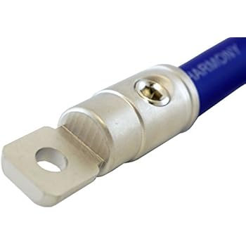 Amazon.com: XSCORPION RT00P Dual Ring Terminal with Adapters: Automotive