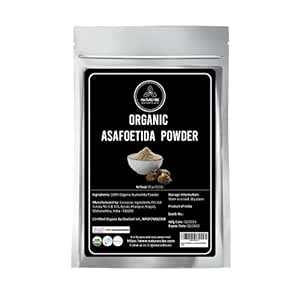 Amazon.com : Naturevibe Botanicals Organic Asafetida Powder 100gm (Hing ...