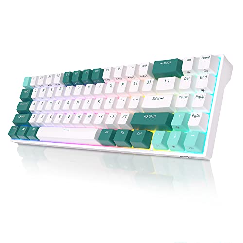 RK ROYAL KLUDGE RK71 Gaming Keyboard, The Newest 71-Key Design Wireless ...