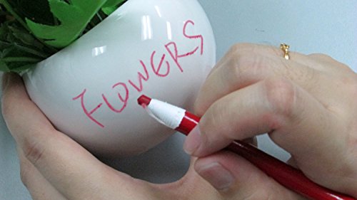 Apollo Peel-off Dermatograph/Chinagraph Color Pencil 12 Pieces In ...