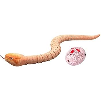 Amazon.com: Animal Planet Giant Remote Control Centipede, with Charger ...