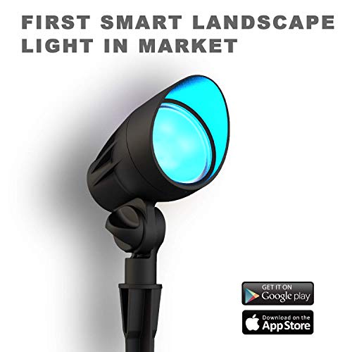 Philips Hue Lily Spotlight: Review