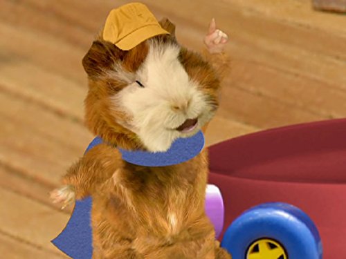 Watch Wonder Pets - Season 1 (English voice over) | Prime Video