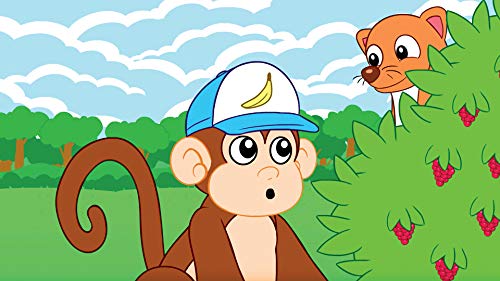 Preschool Learning 3 DVD Collection by Rock ‘N Learn – starkidslearn.com