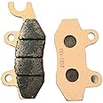 Amazon.com: QYMOTO Hisun 550 Parking Brake Pads Fits for hisun Sector ...