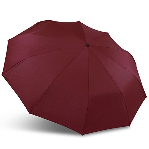 GARMAR Windproof 10-RIB Compact Travel Umbrella with Auto Open Close ...