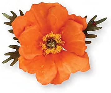 Amazon.com: Sizzix Thinlits Die Set 9PK - Flower, Poppy by Susan ...