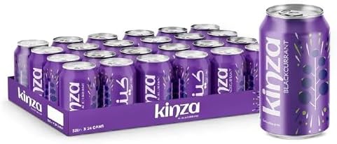 Kinza Blackcurrant Drink, 24 x 300 ml price in UAE | Amazon UAE ...